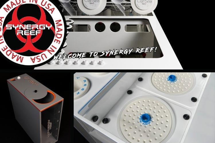 Synergy Reef | Innovative Reef Aquarium Support Systems – Synergy Reef ...